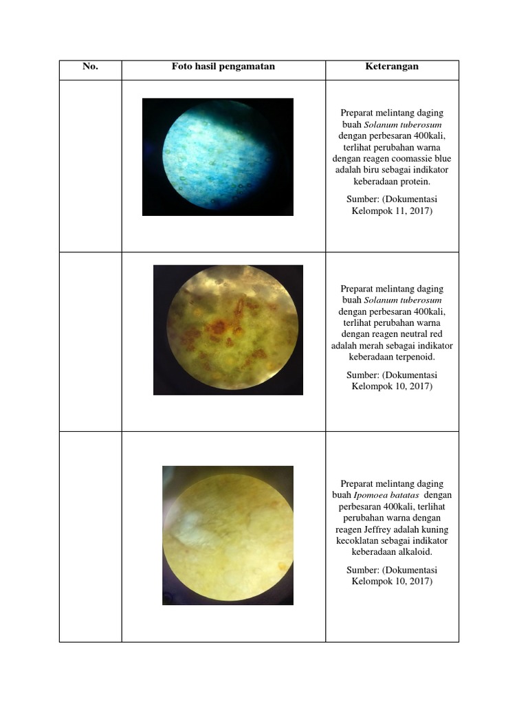 Lampiran Gambar Laprak 4 | PDF