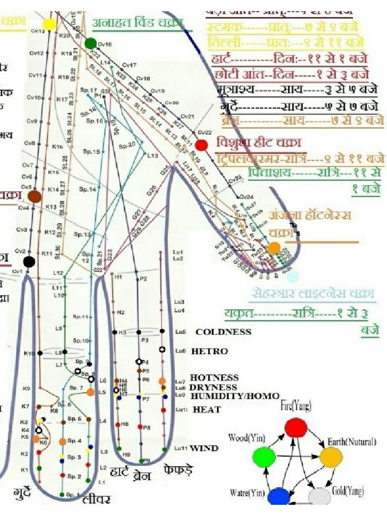 Sujok Hand Yin | PDF