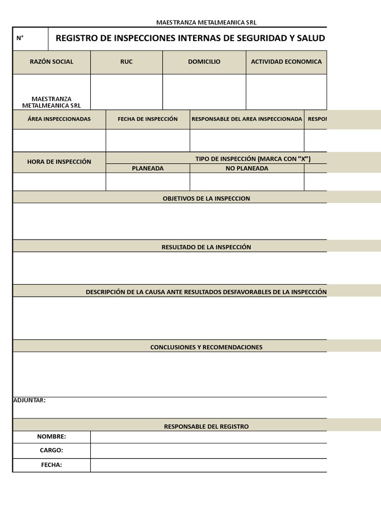 FORMATO DE INSPECCIÓN-G 050.xlsx