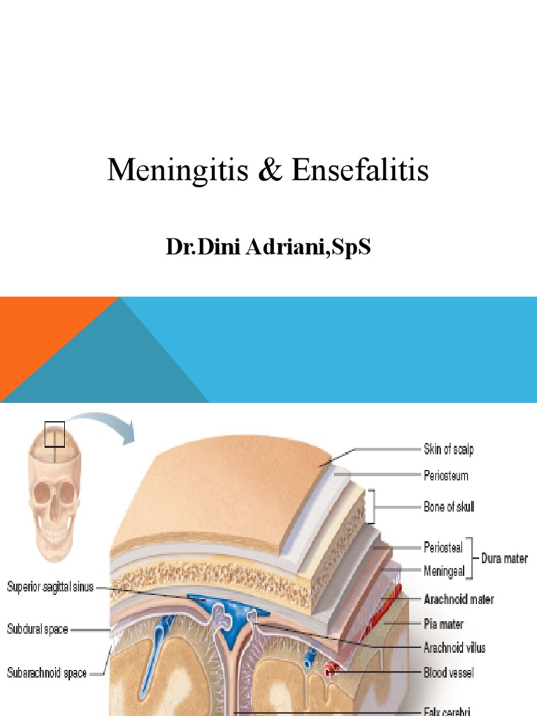 MENINGITIS_ENSEFALITIS | PDF