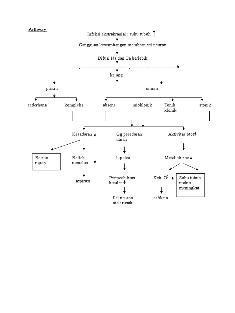 Pathway Kejang Demam | PDF