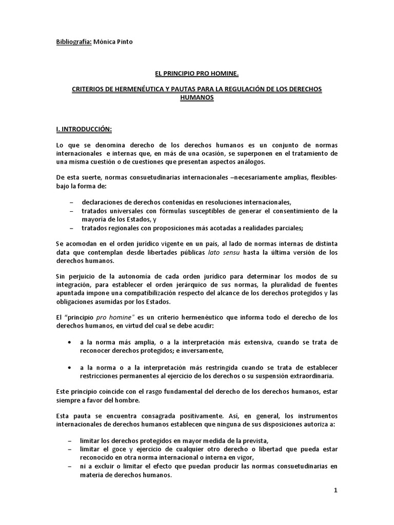 Principio Pro Homine en Derechos Humanos | PDF | Derechos | Derechos ...