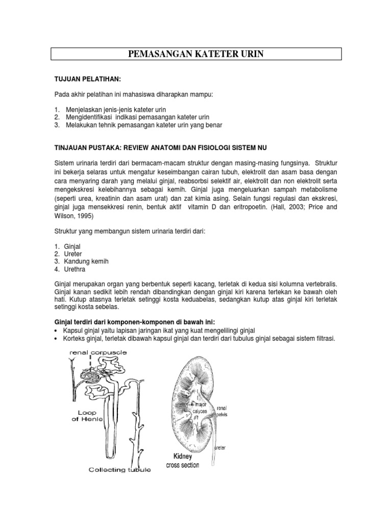 Modul Pemasangan Kateter Urin | PDF