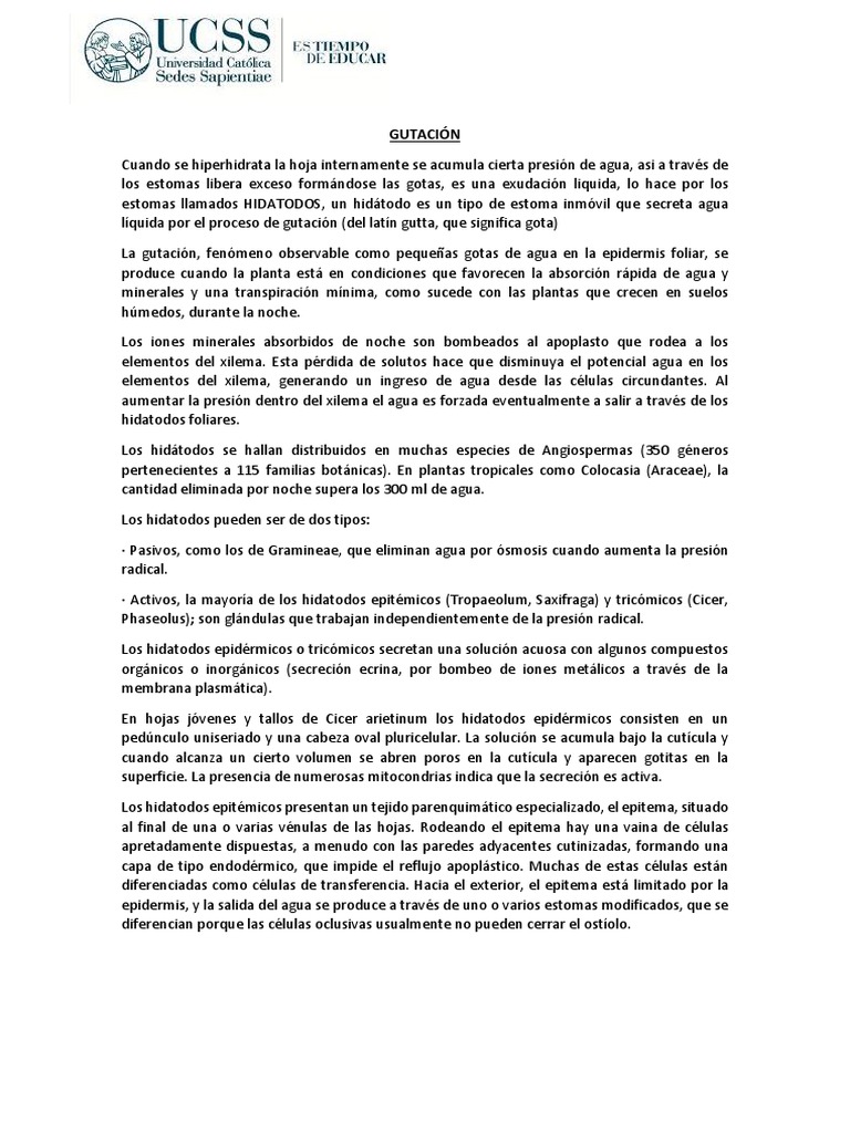 El proceso de gutación y la función de los hidatodos en las plantas ...