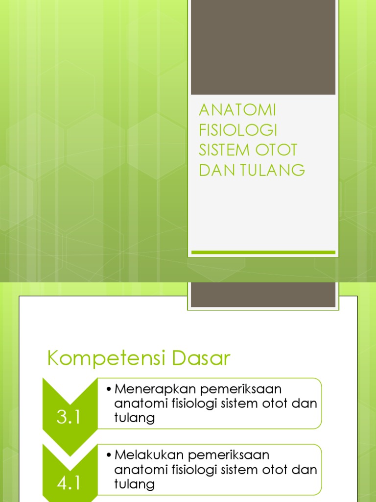 Anatomi Fisiologi Sistem Otot Dan Tulang | PDF
