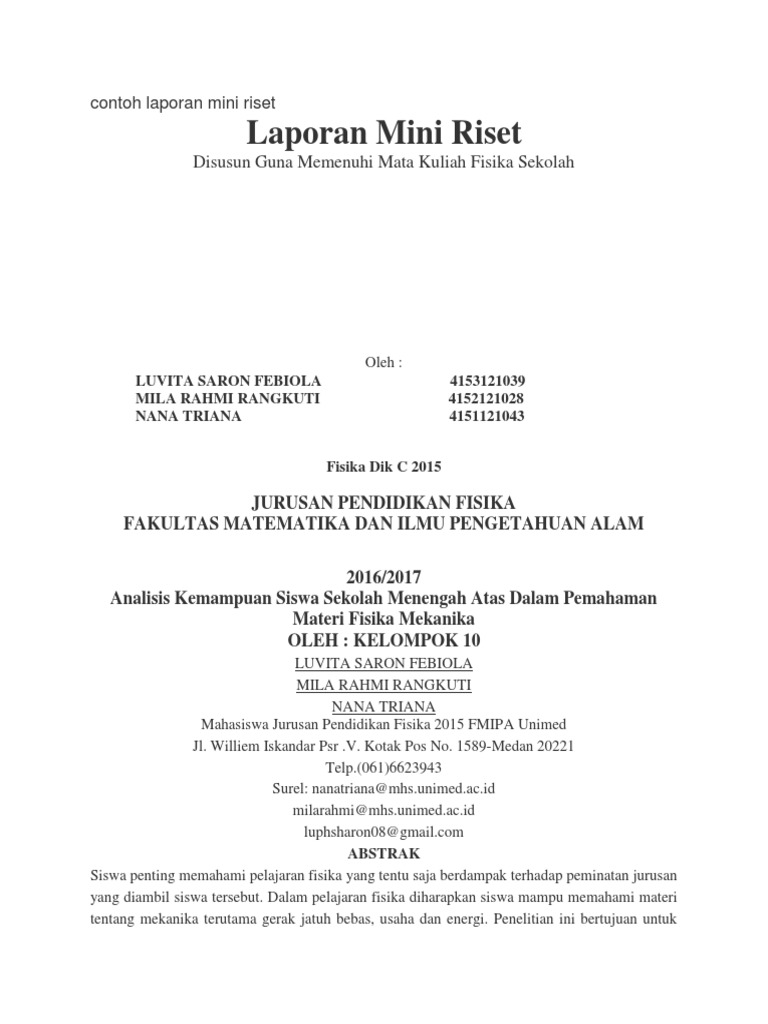 Contoh Laporan Mini Riset MKDK | PDF