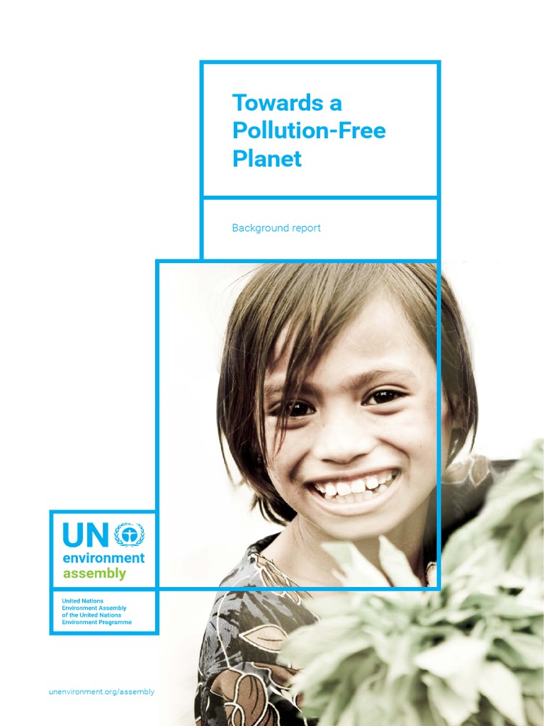UNEA Towardspollution Long Version Web | PDF | Air Pollution ...