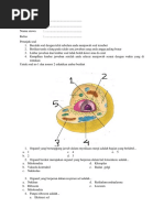 Soal Biologi Kelas XI Sel SMA | PDF