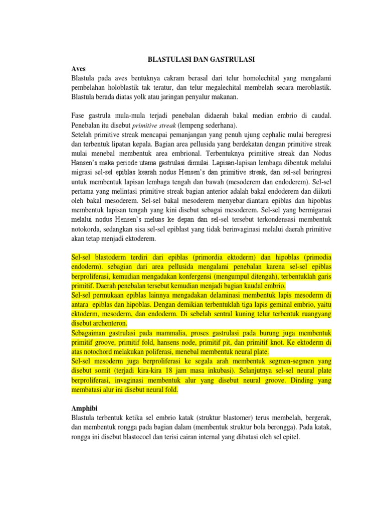 Proses Blastulasi dan Gastrulasi Embrio | PDF
