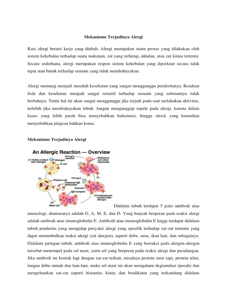 Mekanisme Terjadinya Alergi Dan Infeksi | PDF