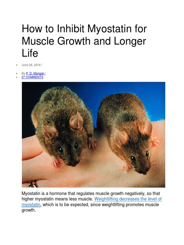 Inhibit Myostatin for Muscle Growth | PDF | Testosterone | Leucine