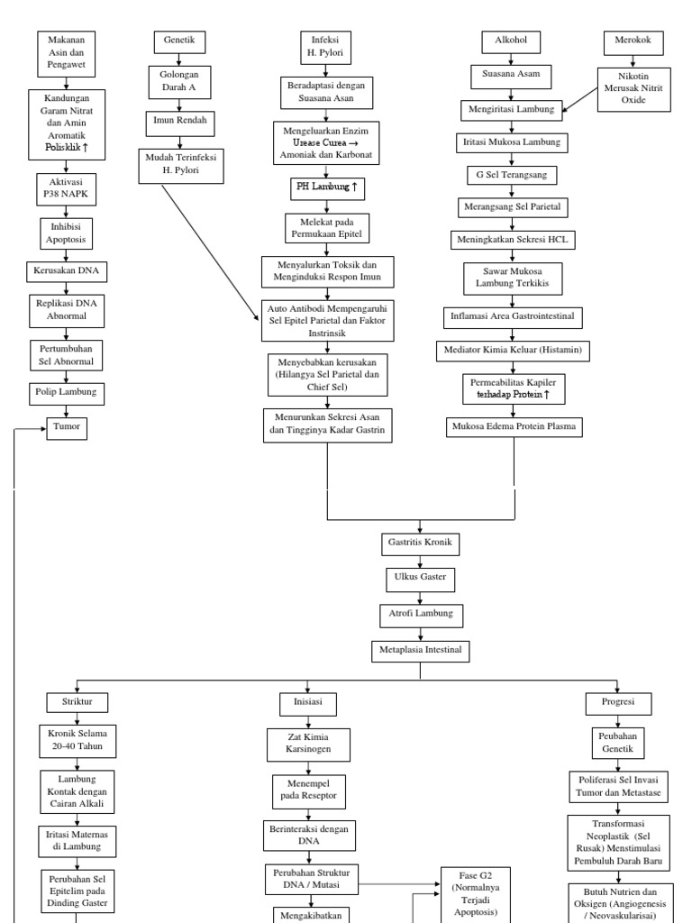 Pathway CA Gaster | PDF