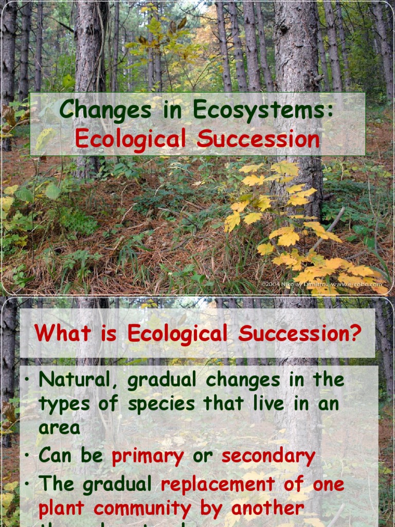 Ecological Succession | PDF