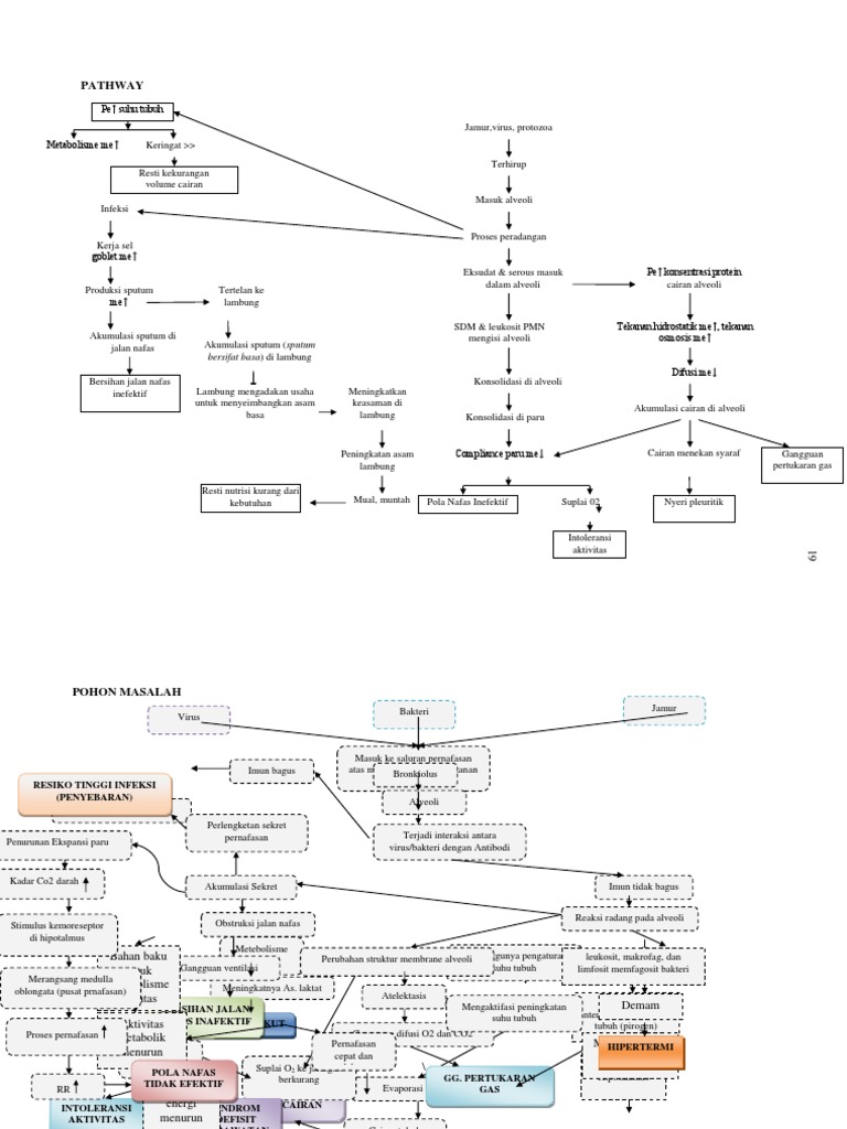 Pathway Pneumonia | PDF