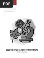 Csec Lab Format | PDF | Experiment | Methodology
