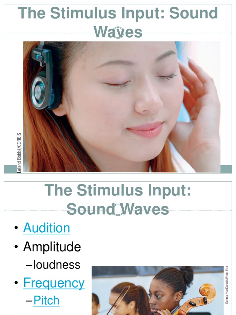 The Stimulus Input: Sound Waves | PDF | Ear | Auditory System