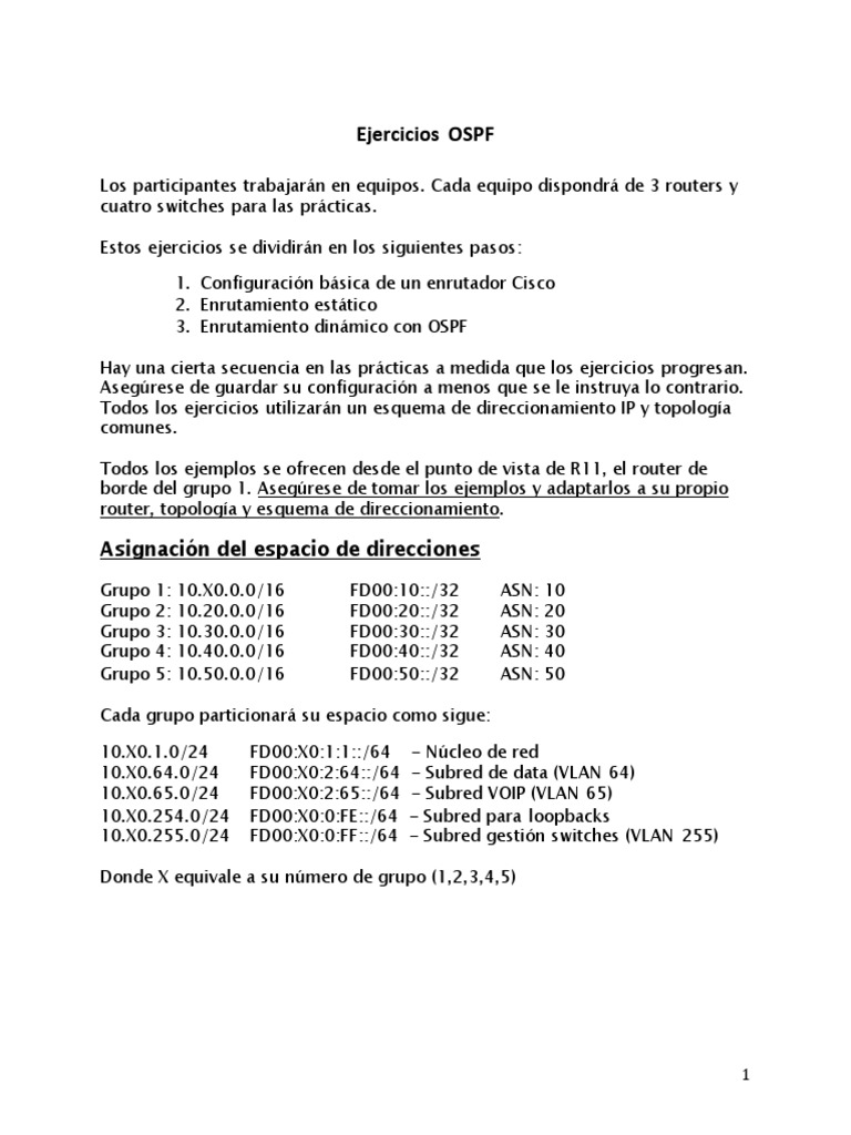 Ejercicio OSPF | PDF | Enrutador (Computación) | Protocolos de internet