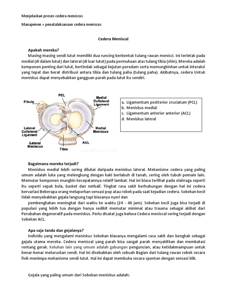 Cedera Meniscus | PDF