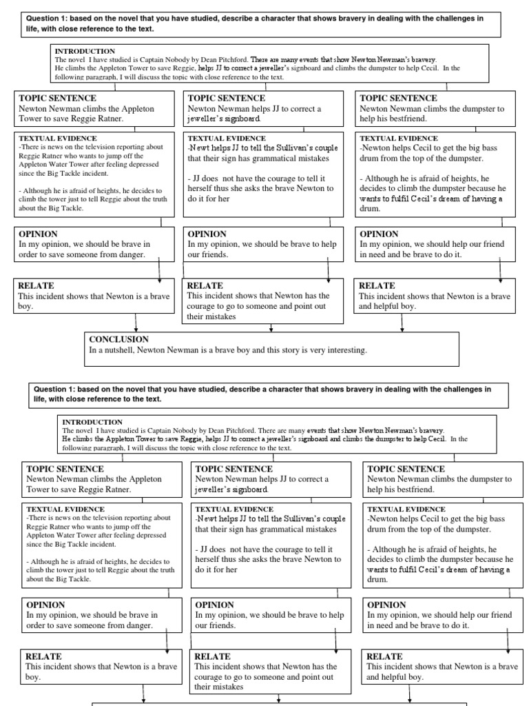 Captain Nobody Module 2017 | PDF