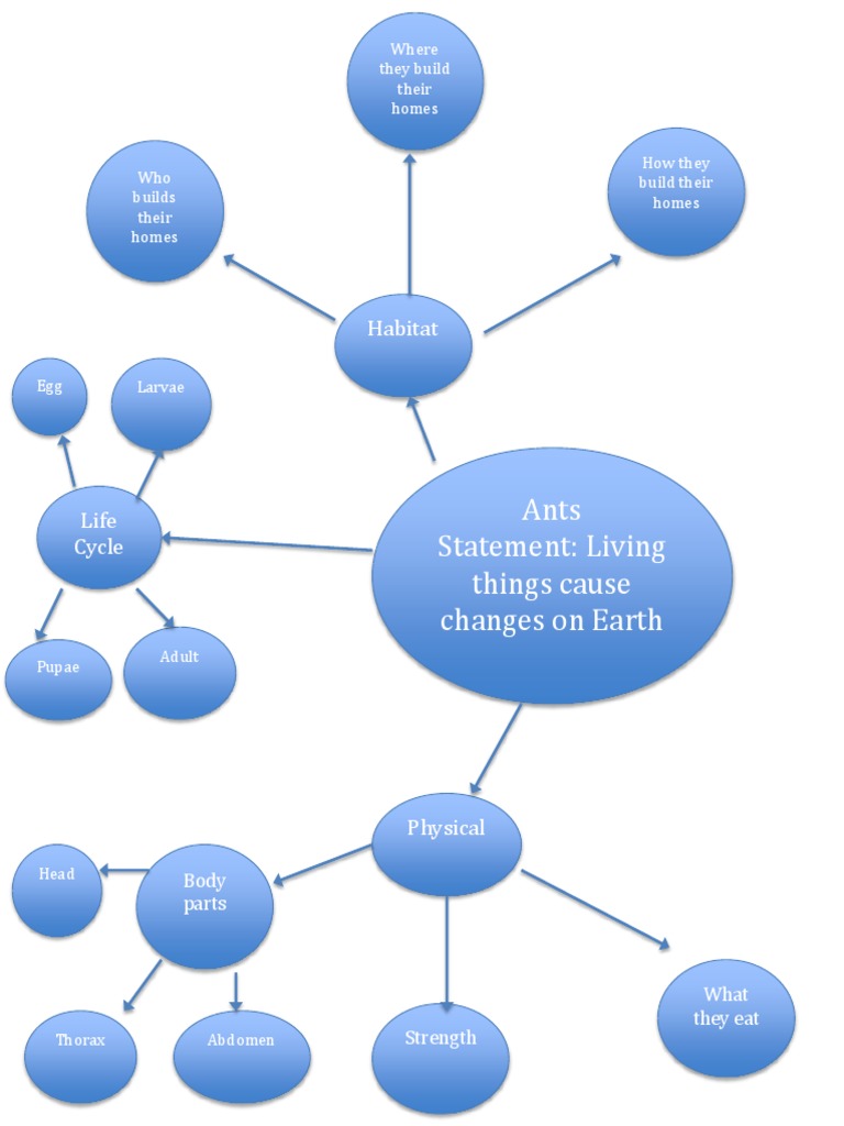 Concept Web | PDF