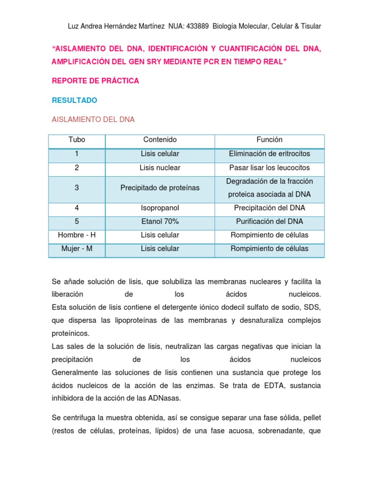 Gen SRY | PDF | Adn | Primer (Biología Molecular)