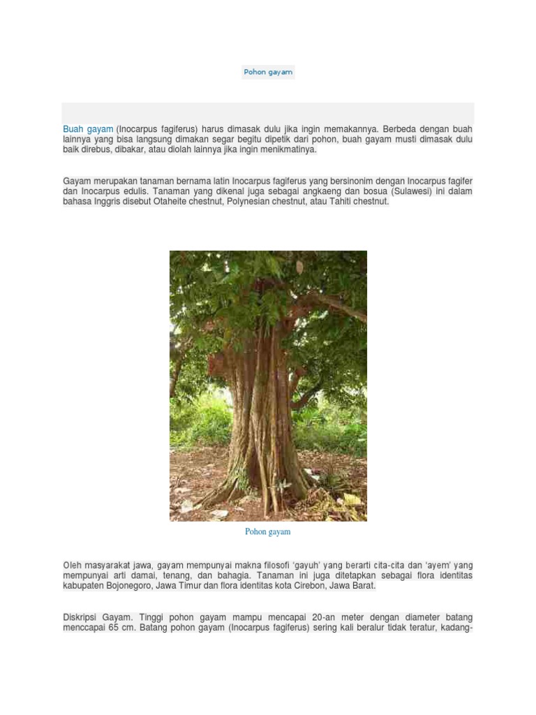 Manfaat dan Mitos Buah Gayam | PDF