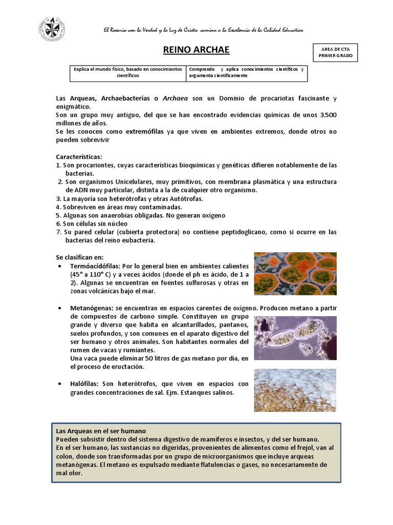 3 Reino Archae | PDF | Archaea | Las bacterias