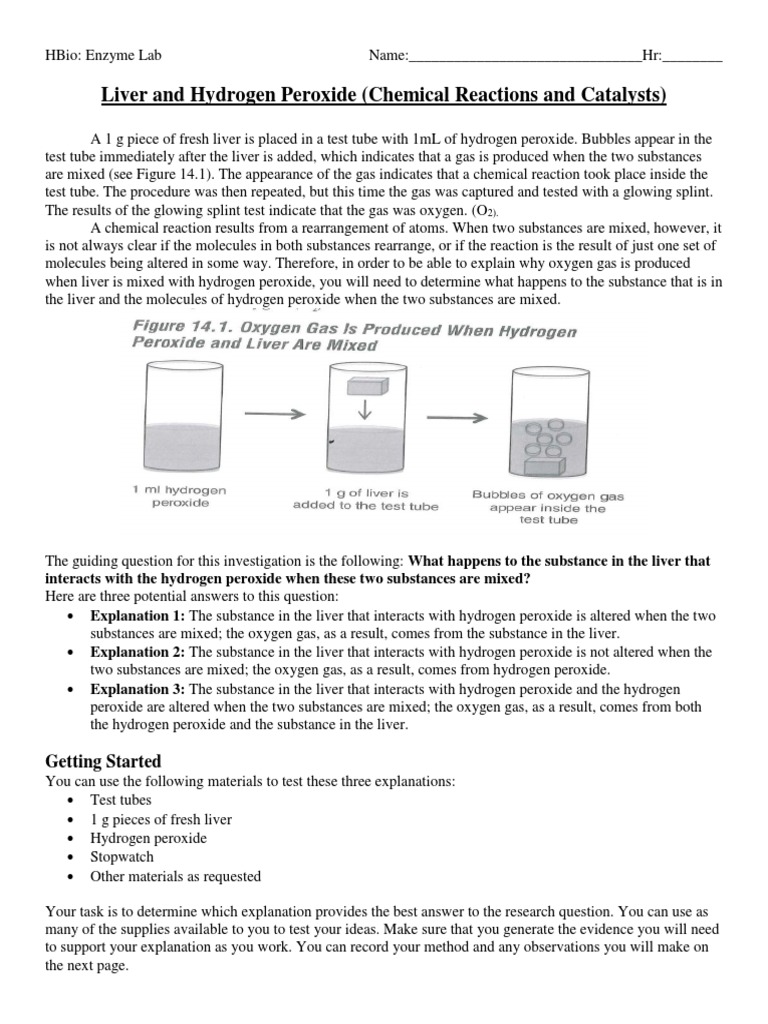 Liver and Hydrogen Peroxide (Chemical Reactions and Catalysts) | PDF ...