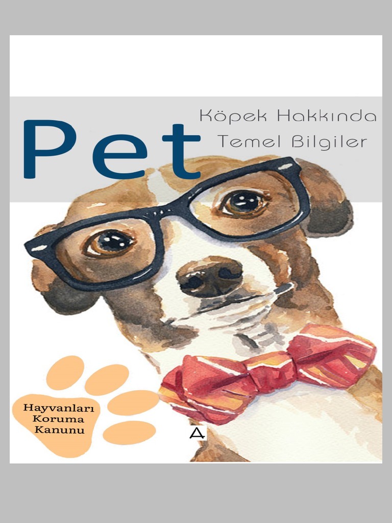 Pet - Kopek Hakkinda Temel Bilgiler PDF | PDF