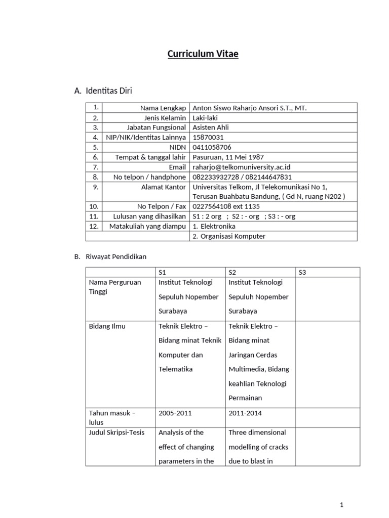 Curriculum Vitae: A. Identitas Diri | PDF | Business | Computing And Information Technology