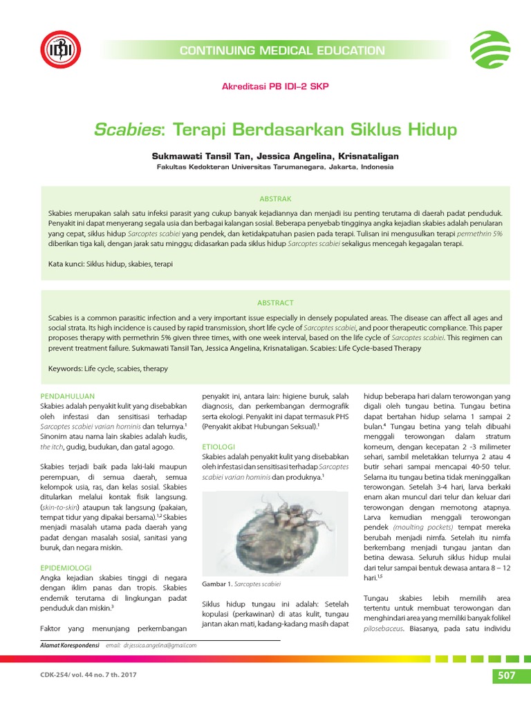 19 - 254CME-Scabies-Terapi Berdasarkan Siklus Hidup PDF | PDF