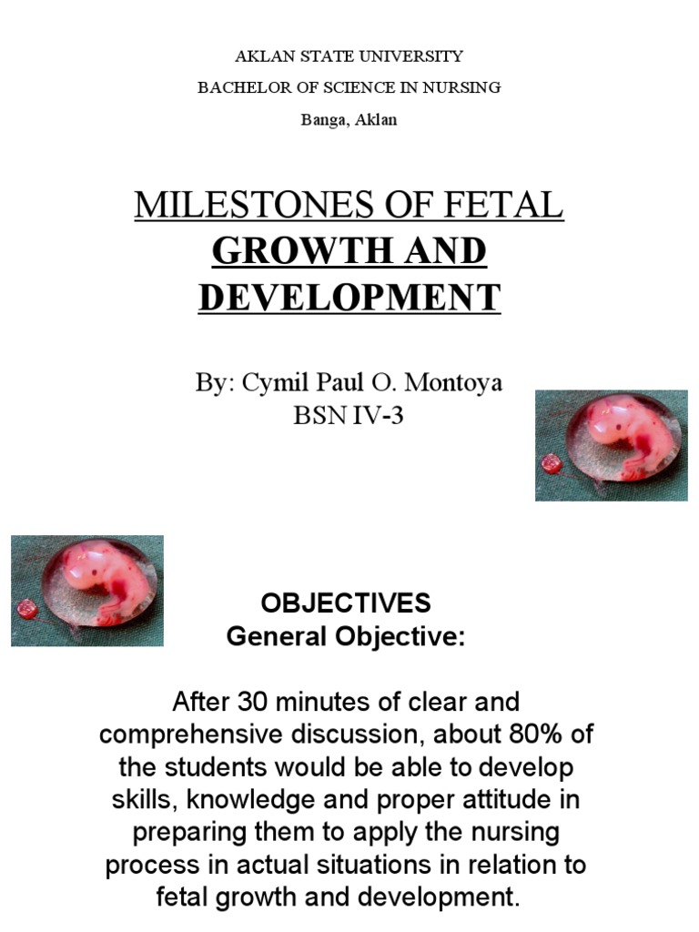 Fetal Growth and Development Milestones | PDF | Fetus | Pregnancy