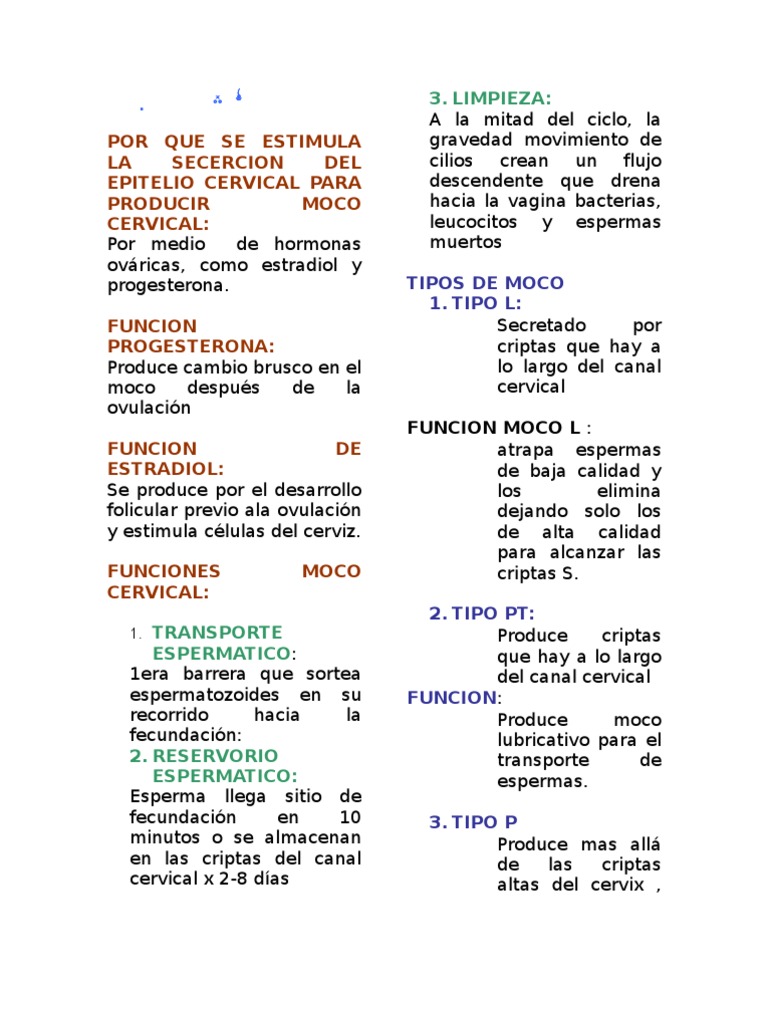Moco cervical: funciones y tipos | PDF | Semen | Estradiol
