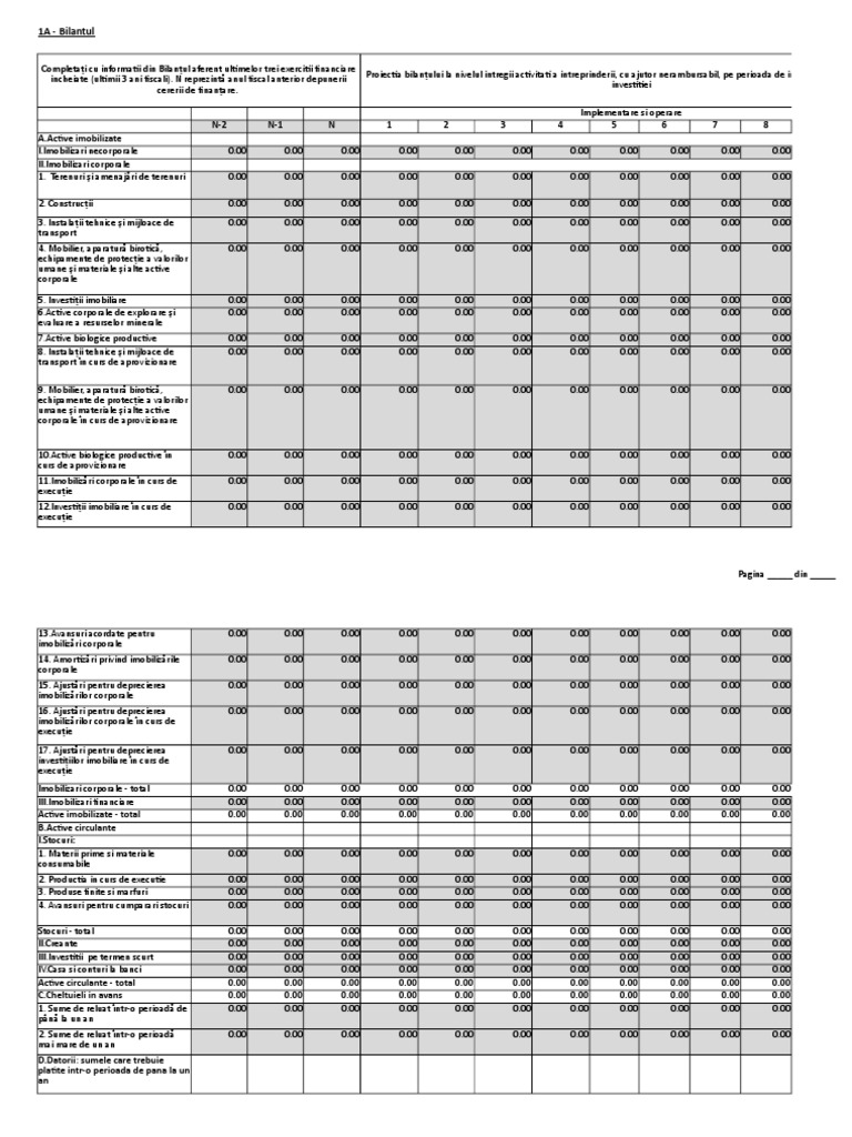 Anexa1 5 A.plan de Afaceri Macheta | PDF