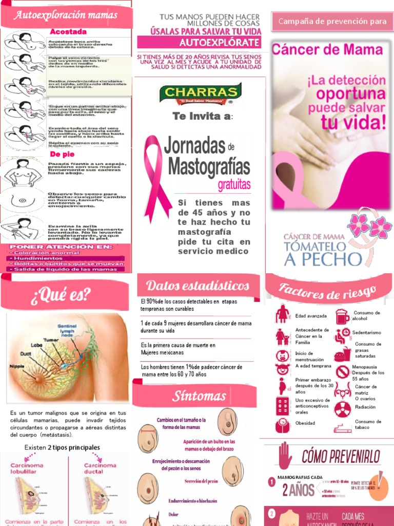 Triptico CA Mama | PDF | Cáncer de mama | Cáncer