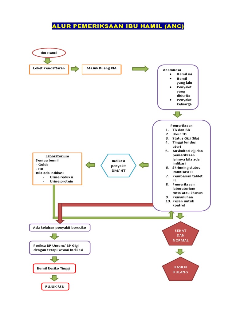 Alur Pemeriksaan Ibu Hamil | PDF