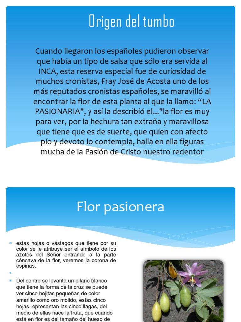 Origen Del Tumbo | PDF