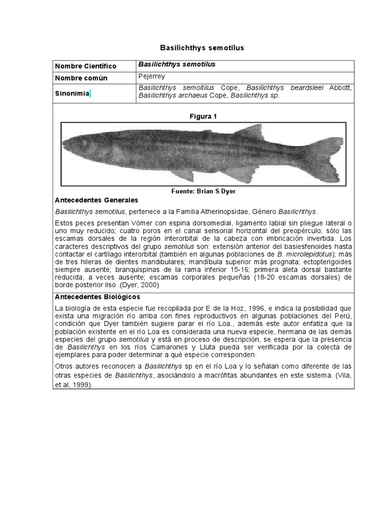 Biología y Conservación de Basilichthys semotilus | PDF | Río | Especies