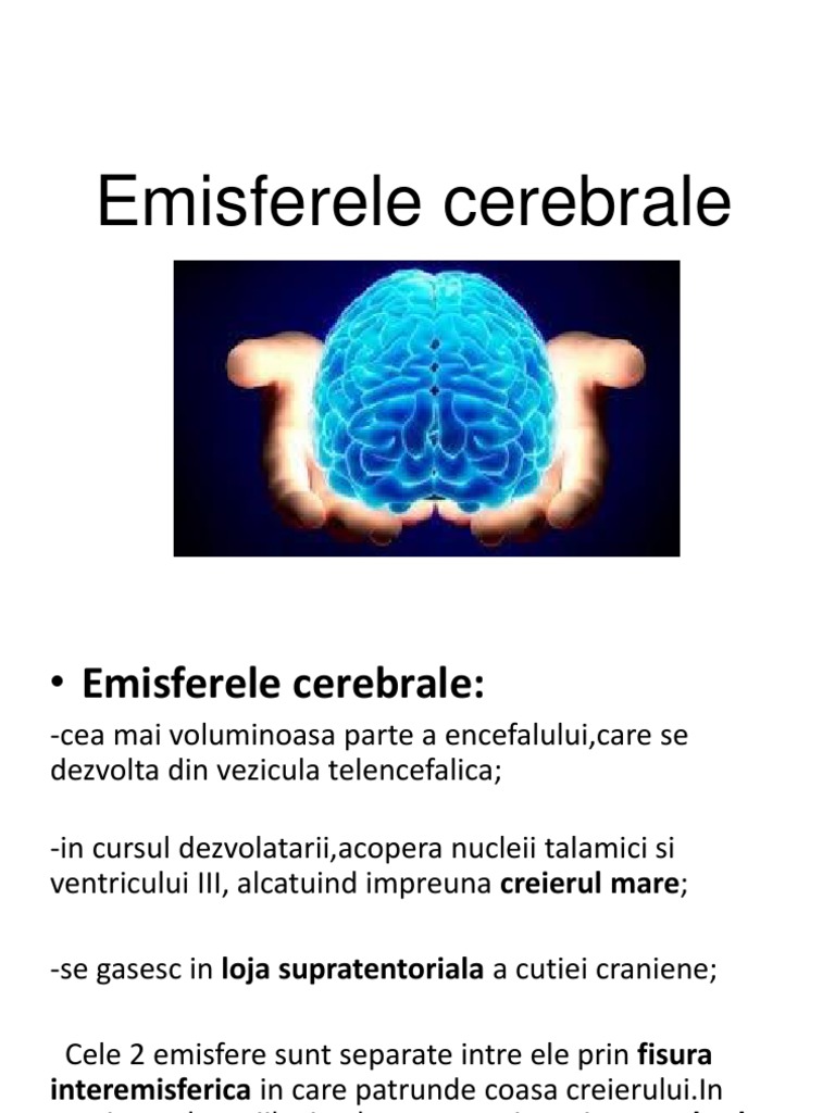 Emisfere Cerebrale | PDF