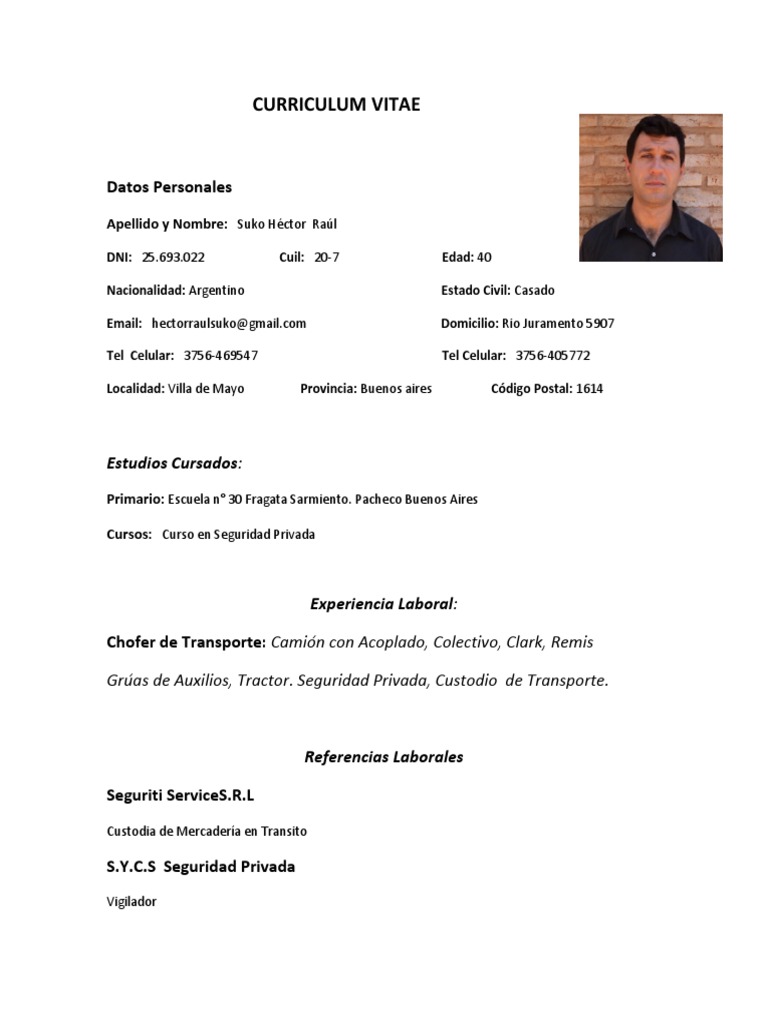 Curriculum Vitae Raul | PDF