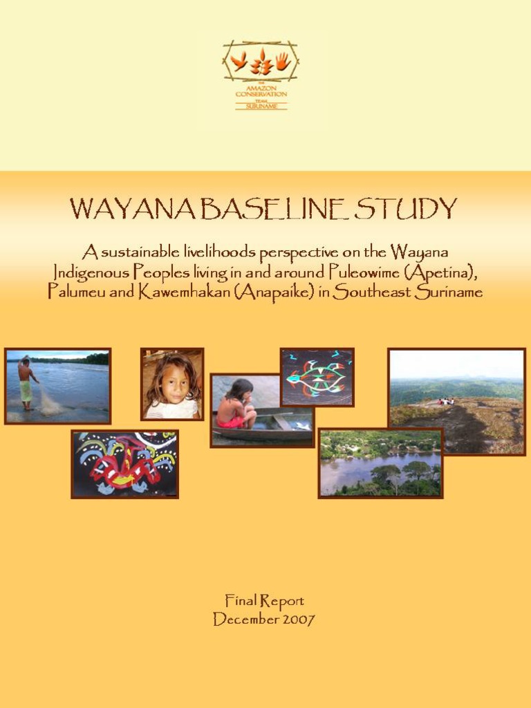 Wayana Baseline Study 2007 | PDF | Sustainability | Agriculture