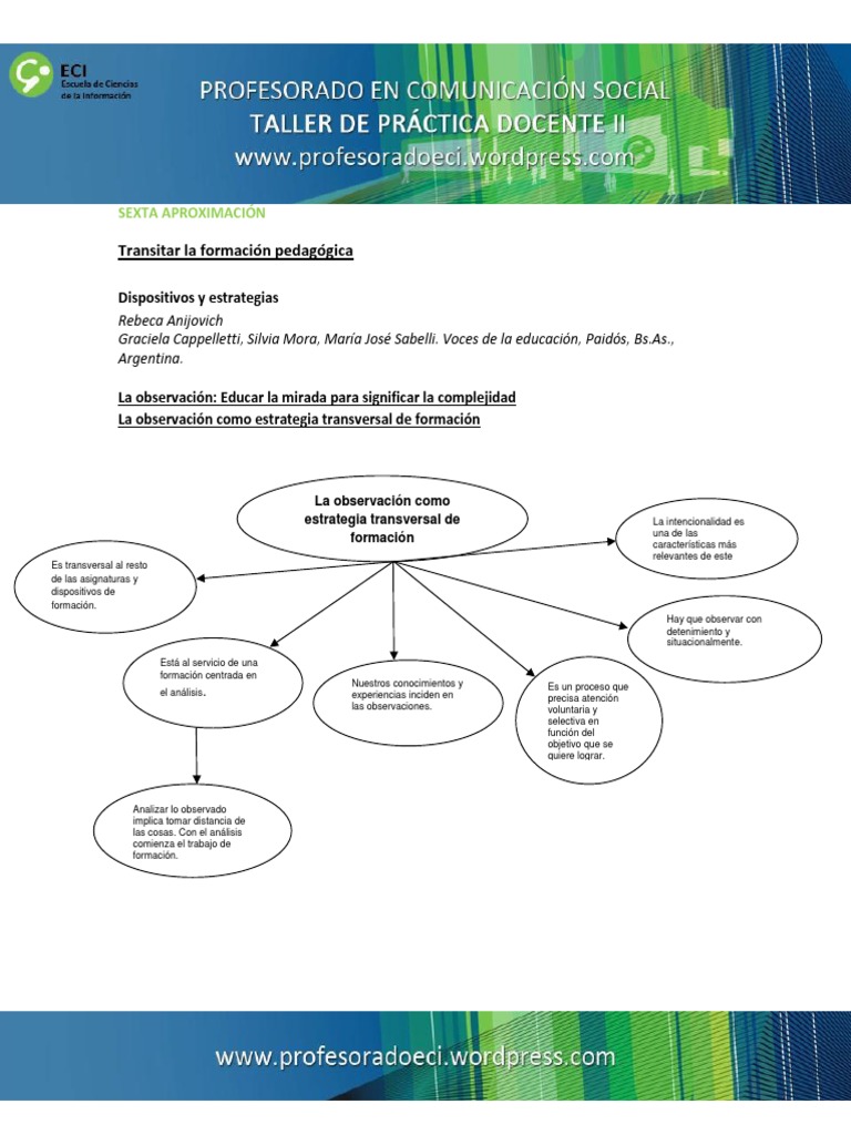 Resumen Rebeca Anijovich Pdf Narrativa Aprendizaje