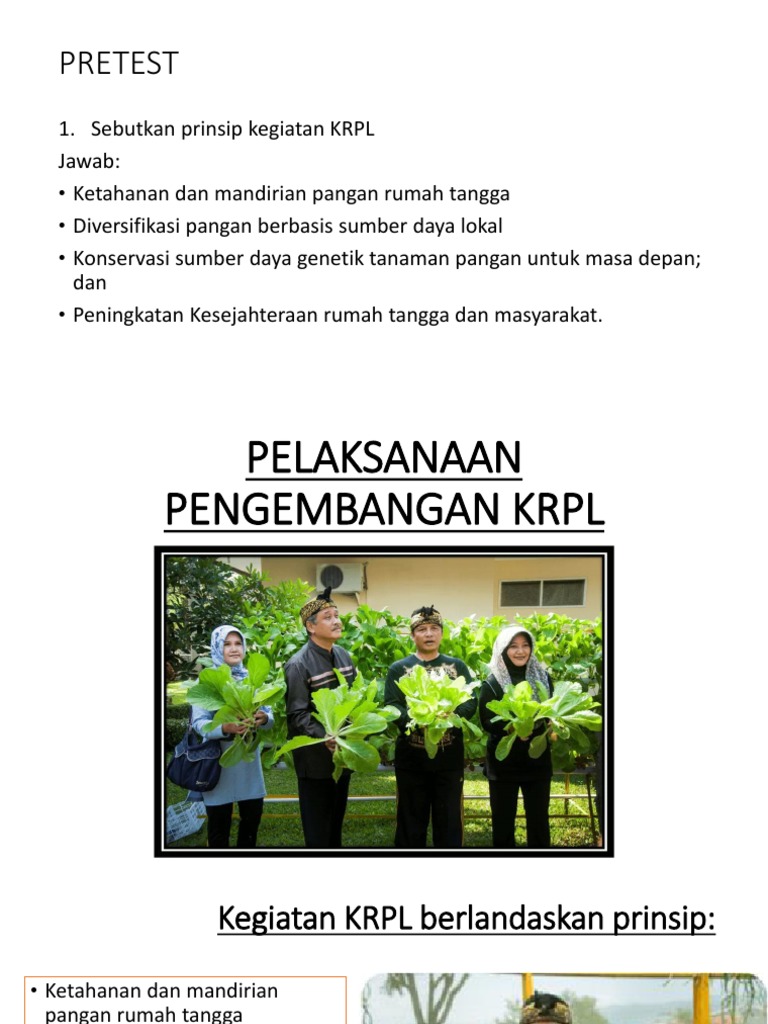 Pelaksanaan Pengembangan KRPL | PDF | Kesehatan Holistik | Teknologi & Rekayasa