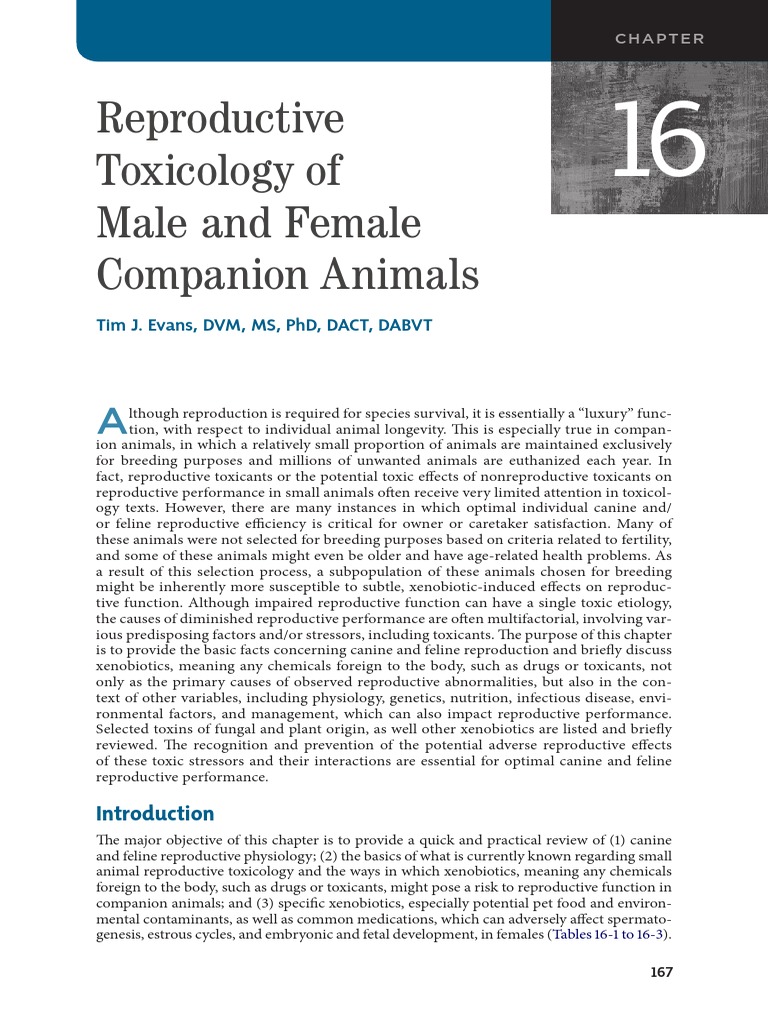 Reproductive Physiology and Toxicology in Canine and Feline Companion ...