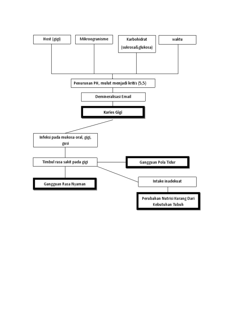 Karies Pathway | PDF