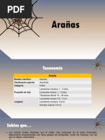 Ciclo de vida y reproducción de arañas | PDF | Araña | Huevo