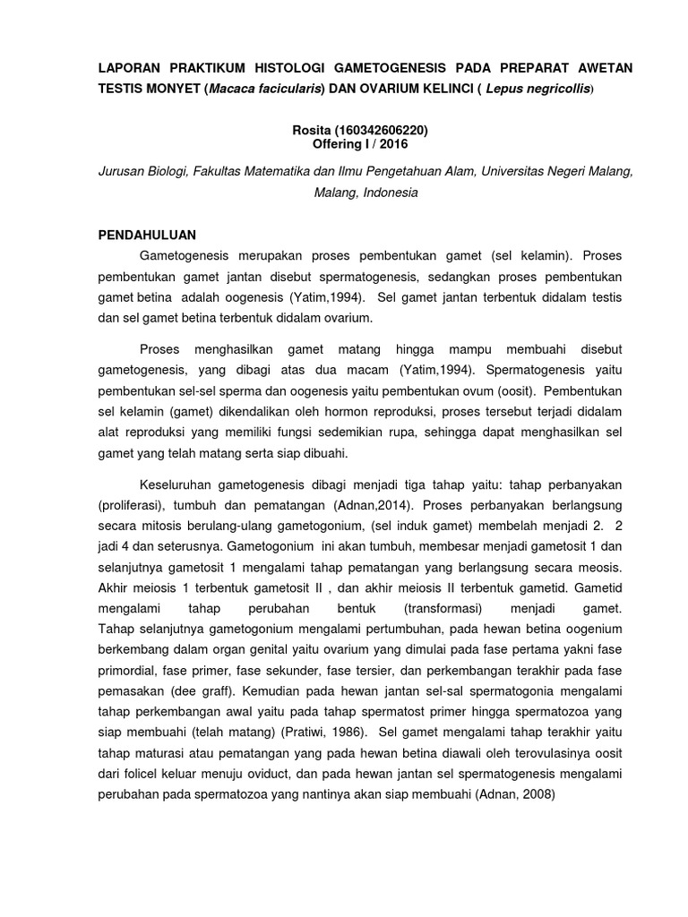 Laporan Praktikum Histologi Gametogenesis Pada Preparat Awetan Testis ...