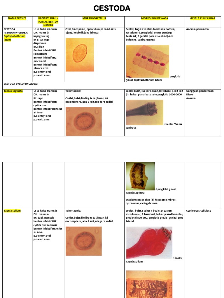 Cestoda | PDF