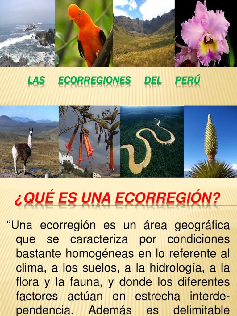 PPT Ecorregiones | PDF | Andes | Conservación