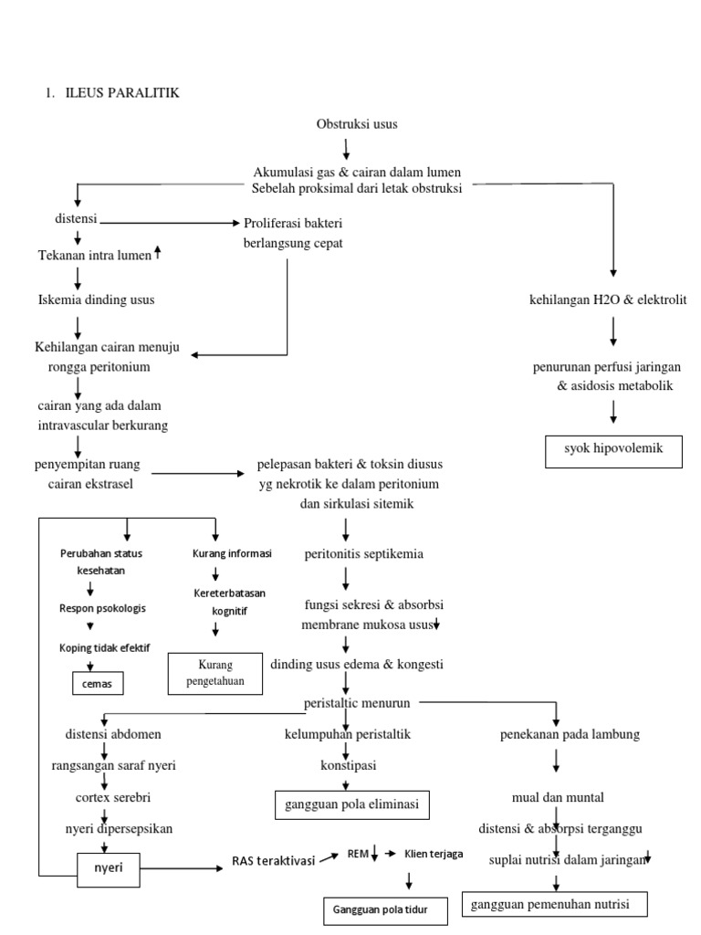 Pathway Ileus Paralitik